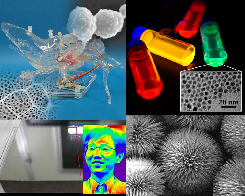 Institute of Nano-Life-Systems, Institutes of Innovation for Future ...